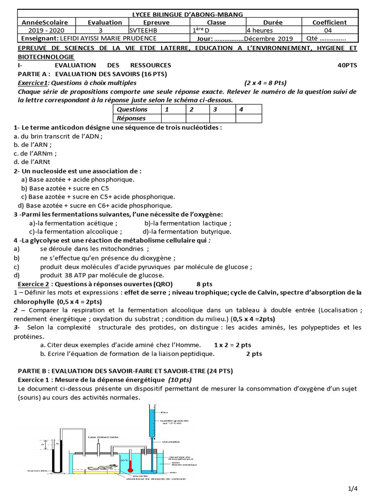 Svteehb Évaluation 3 PD | PDF | Respiration cellulaire | Fermentation