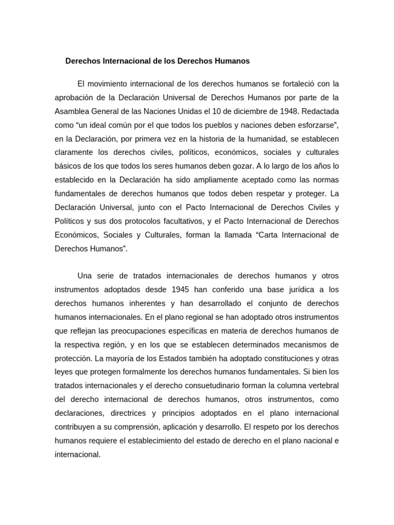 Derecho Internacional de los Derechos Humanos | PDF | Derechos humanos ...