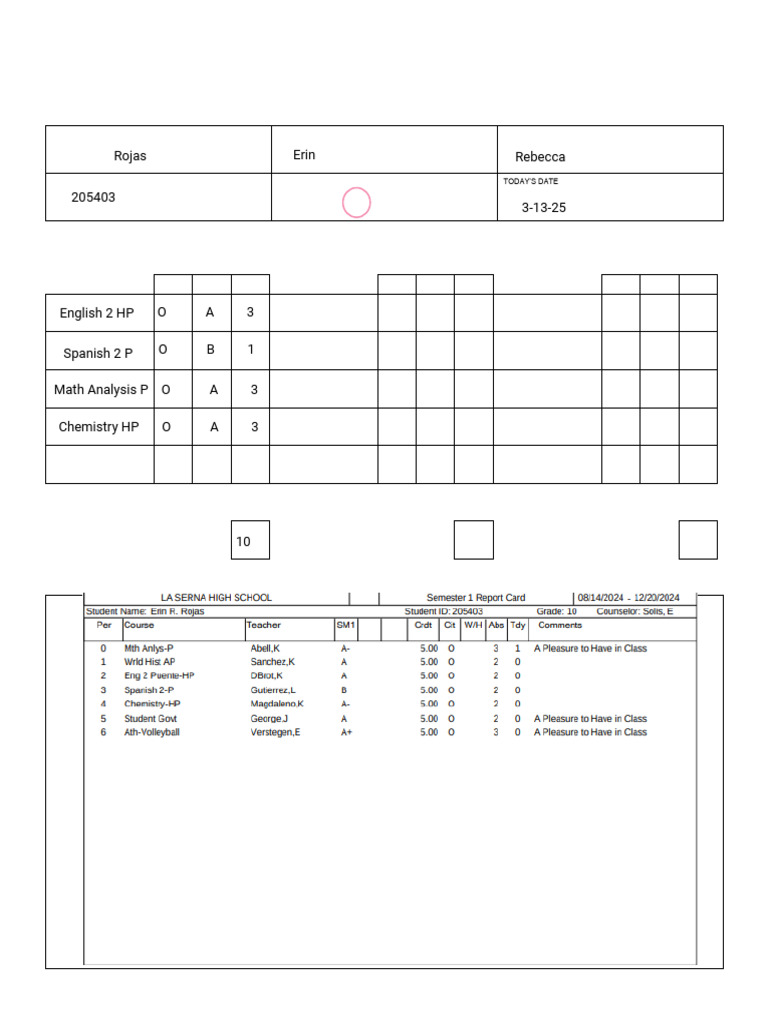Kami Export - Erin Rojas - CSF Application - Spring | PDF