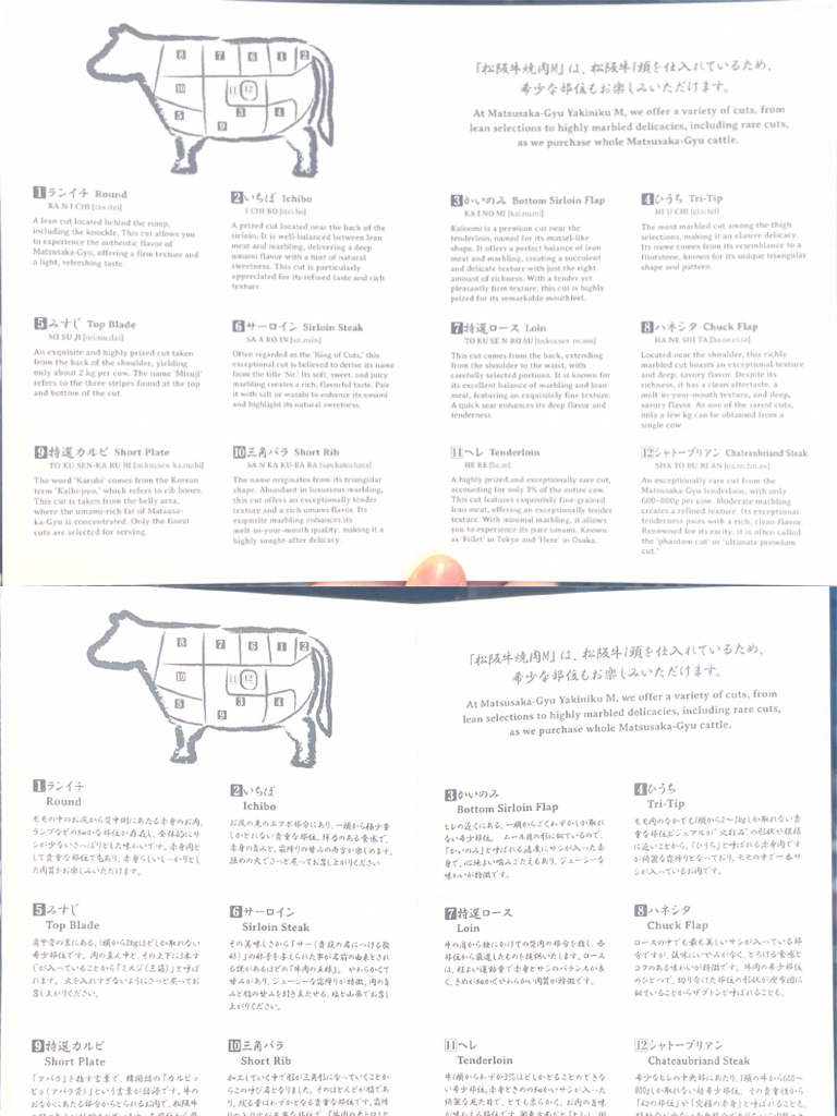 A Lean Cut Located Behind The Rump | PDF