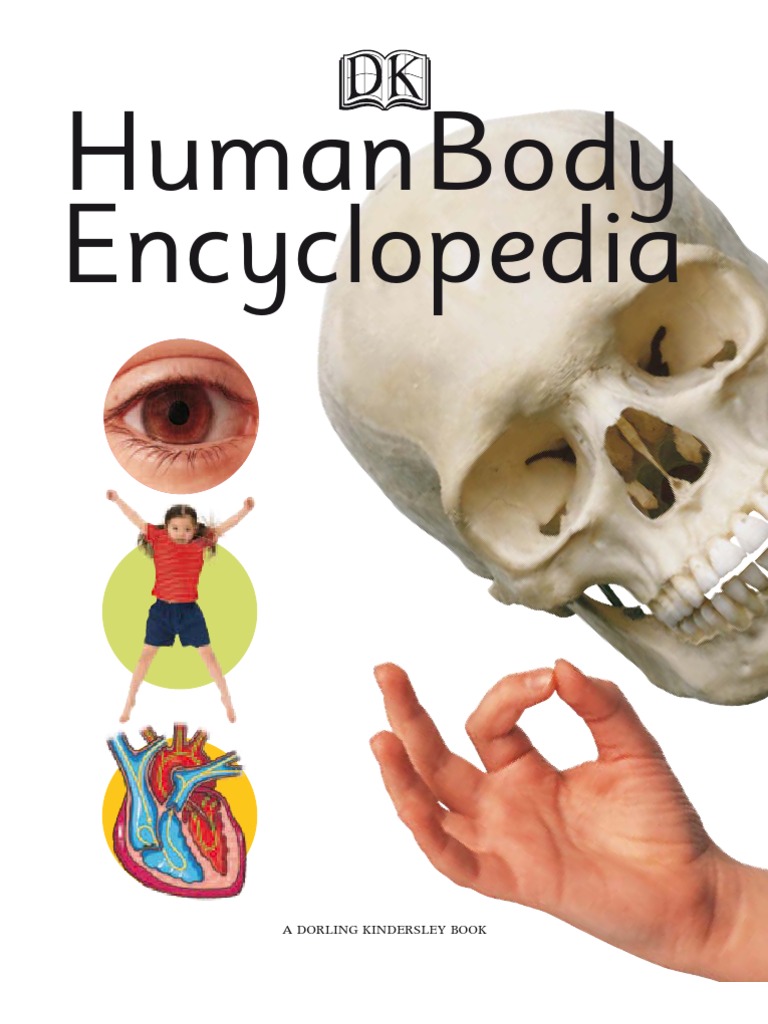 Human Body Encyclopedia | PDF | Vertebral Column | Taste