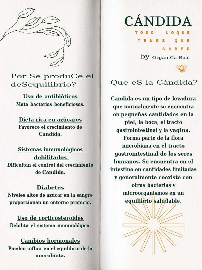 Guía Completa sobre Cándida y Salud | PDF | Sistema inmune | Candidiasis