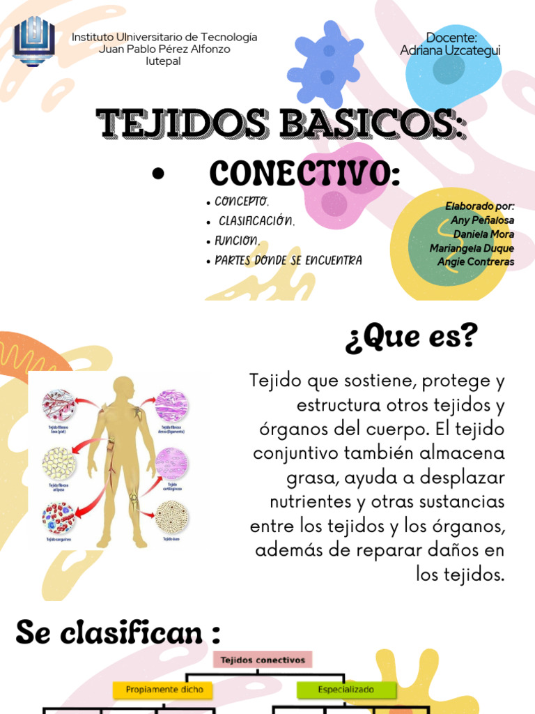 Tejidos Basicos - 20231018 - 100330 - 0000 | PDF