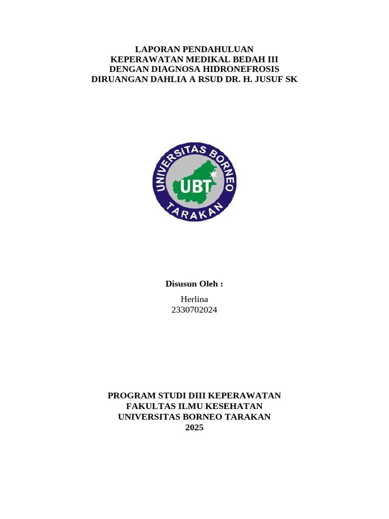 LP Hidronefrosis Kmb 3 | PDF