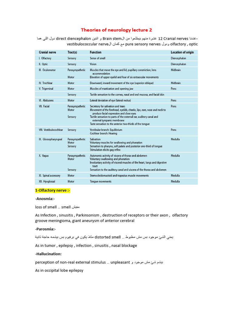 Theories Neurology Lec 2 تبييض | PDF | Diseases And Disorders | Neurology