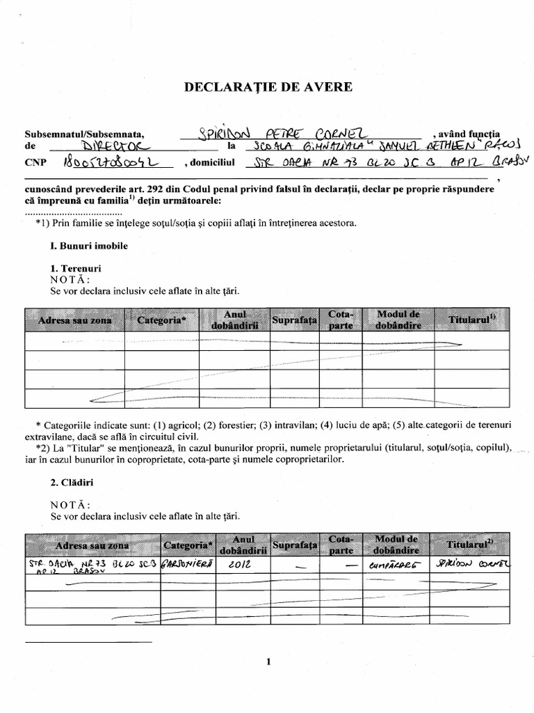 Declaratie de Avere Director | PDF