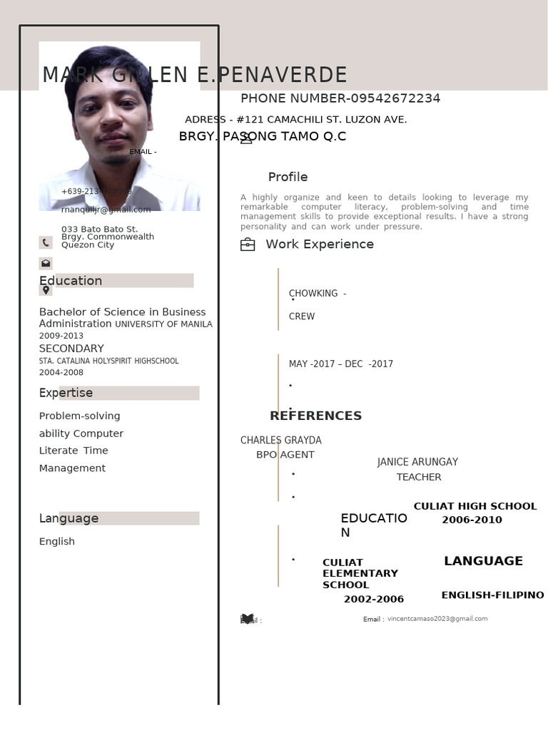 Simple Professional CV Resume | PDF