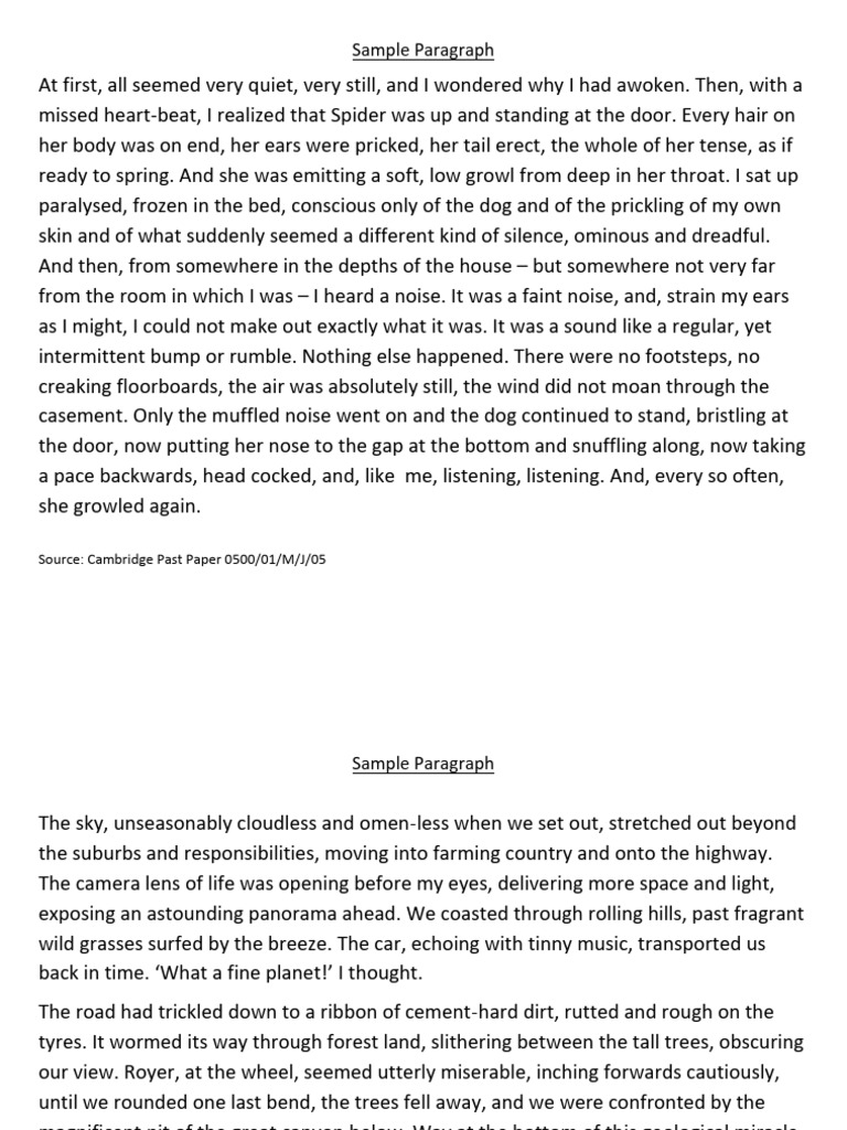 Level L-N Descriptive - Narrative - Imaginative Sample Paragraphs | PDF