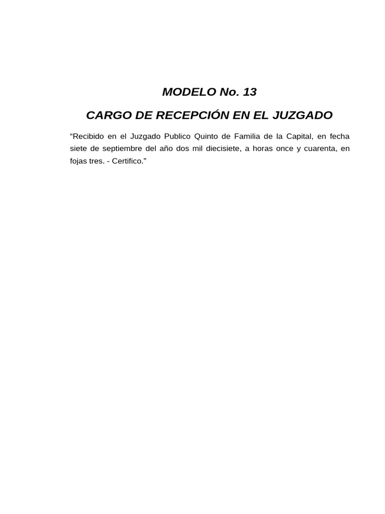 Modelo No. 13 Cargo de Recepción en El Juzgado | PDF