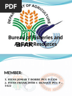 BFAR IV-A Organizational Structure | PDF | Fishing Industry | Marine ...