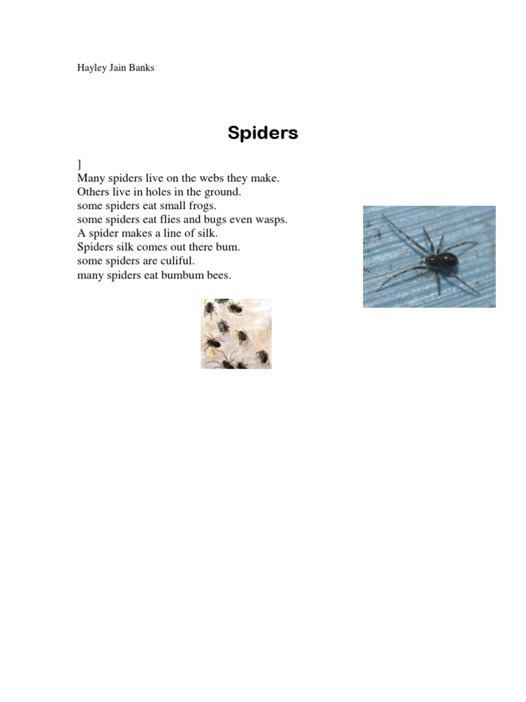 Understanding Spider Behavior and Habitat | PDF