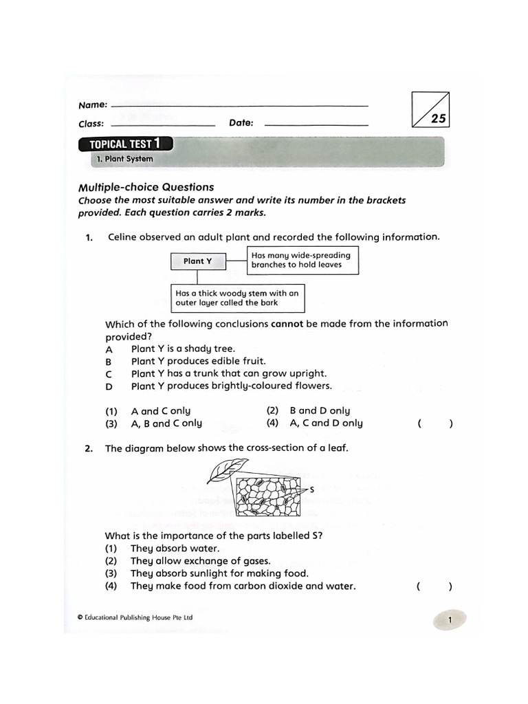 P4 Science - Plant Systems Test 1 | PDF
