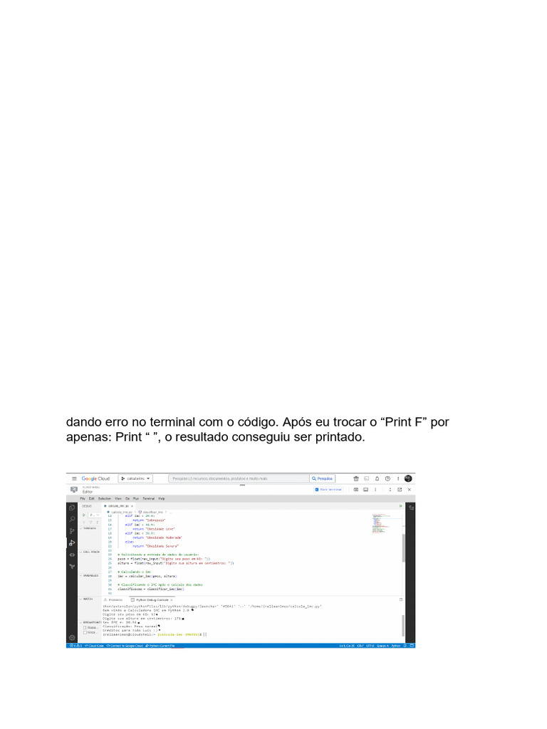 Portfólio (2) | PDF
