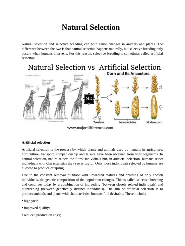 Artificial Selection vs. Natural Selection | PDF | Genetic Engineering ...