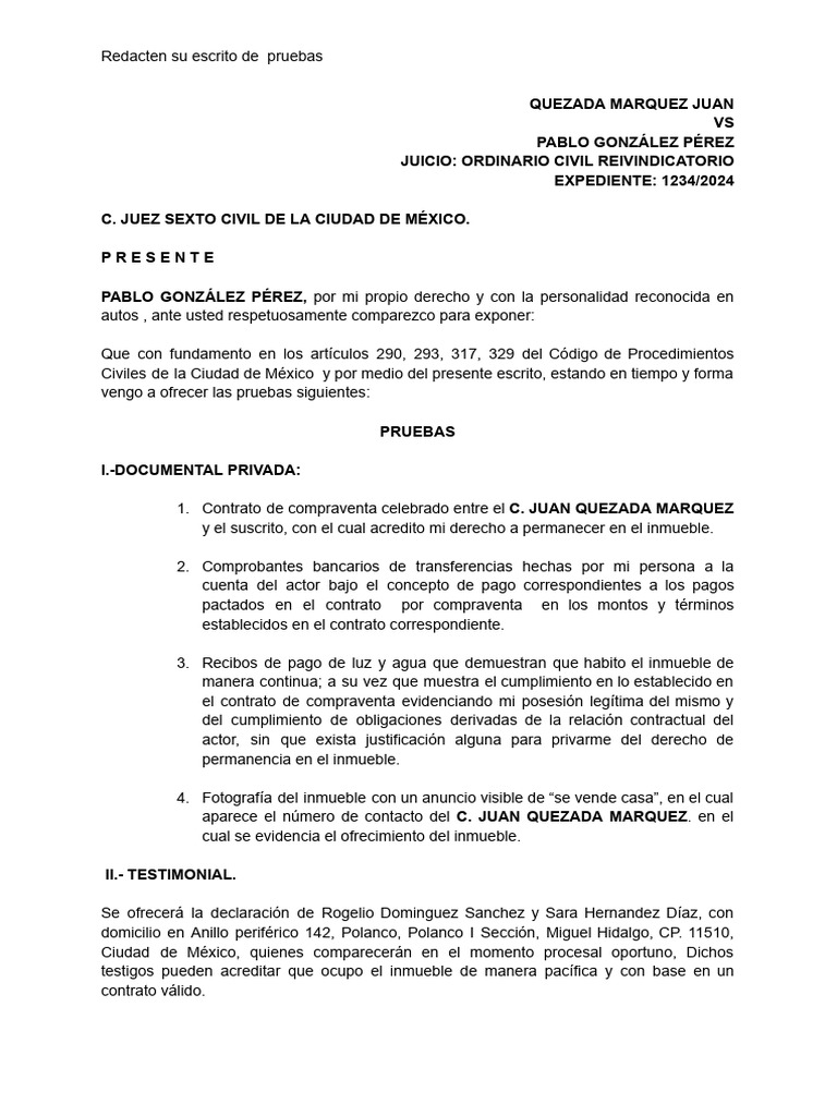 Demandado Pruebas Ord Civil | PDF | Justicia | Crimen y violencia