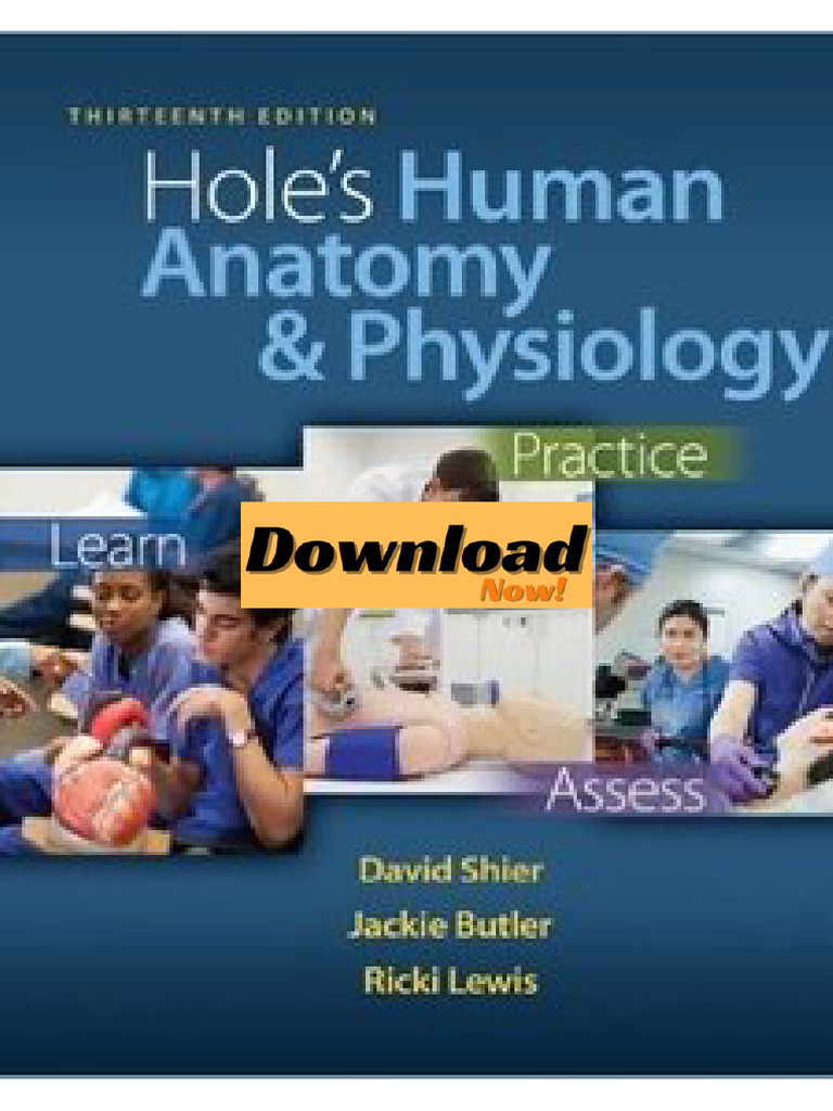 Testbank and Solutions For Holes Essentials Human Anatomy Physiology ...