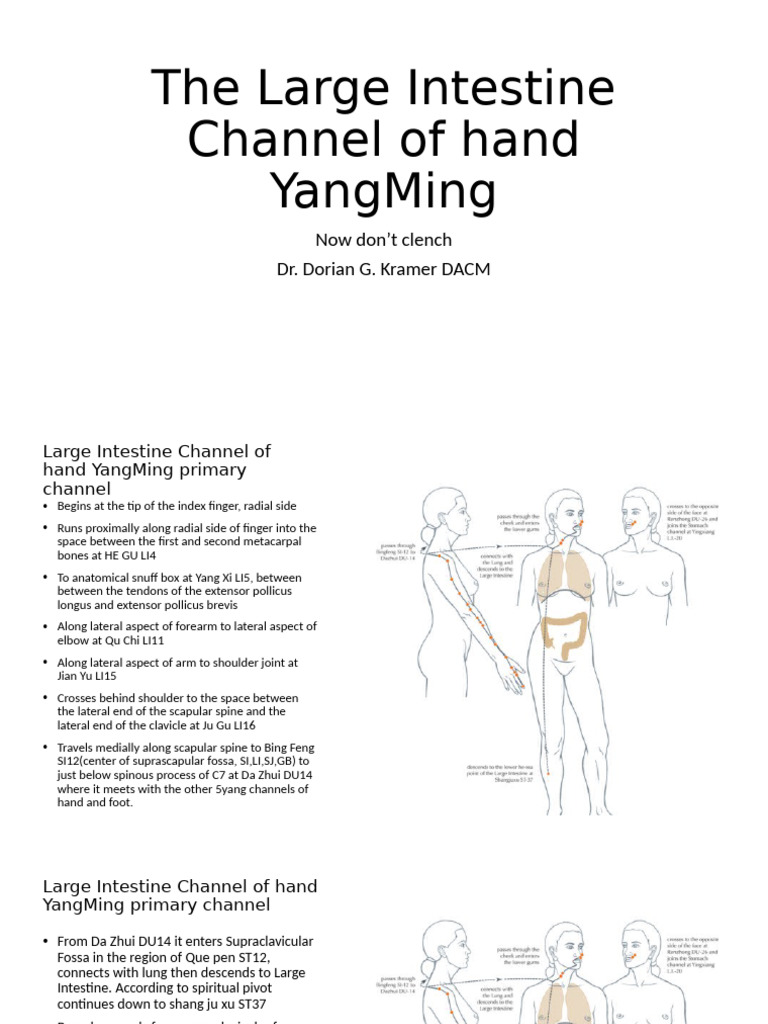 Class7 Large Intestine P95-107 | PDF | Hand | Thorax