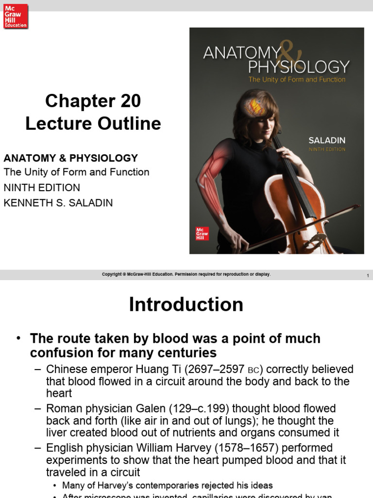 Ch20 BSC2084C - APR - Lecture - Tagged | PDF | Vein | Artery