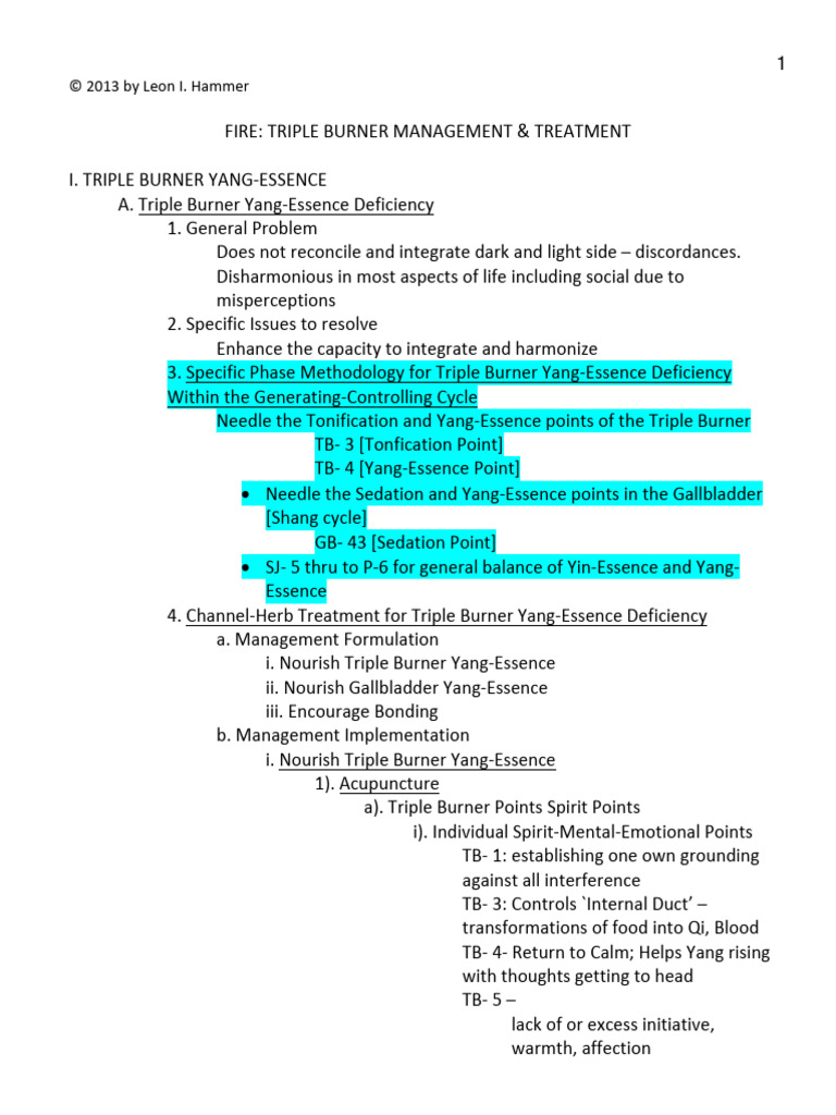 Triple Burner Yang-Essence Treatment Guide | PDF | Yin And Yang | Spleen
