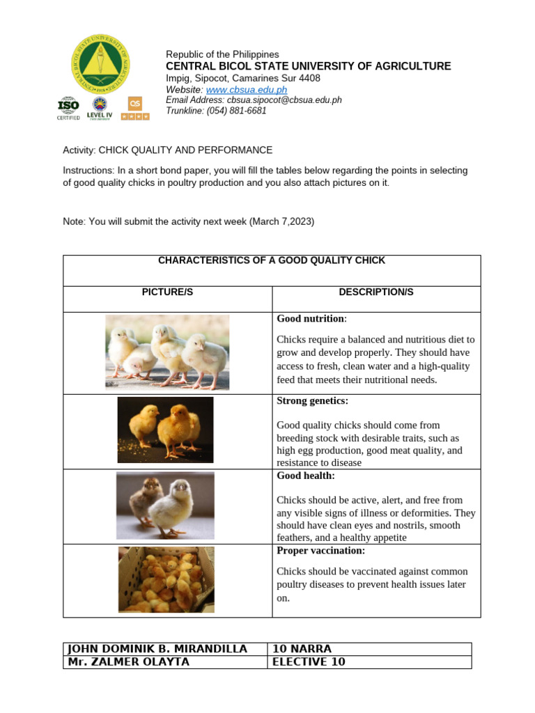 Activity - ELECTIVE 10. Poultry Production | PDF | Birds | Poultry