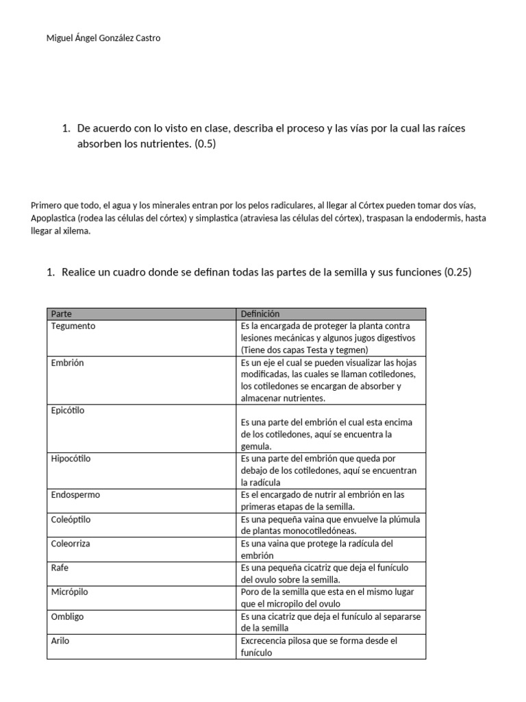 Parcial Botanica | PDF | Raíz | Semilla