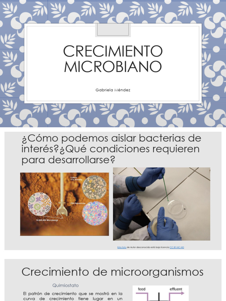 Crecimiento Microbiano - 3 Crecimiento y Medios de Cultivoc | PDF | Las ...