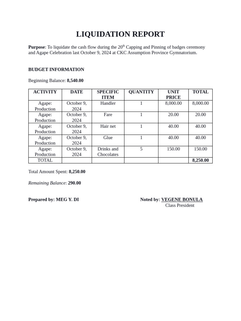 LIQUIDATION REPORT | PDF