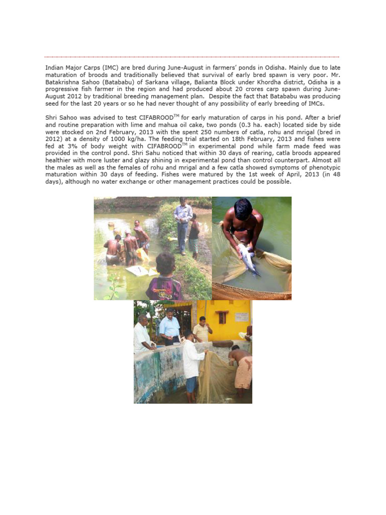Early Breeding Major Carps | PDF | Fish And Humans | Edible Fish