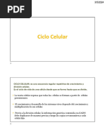 Procesos de Fosilización y Tafonomía | PDF | Fósil | Paleontología