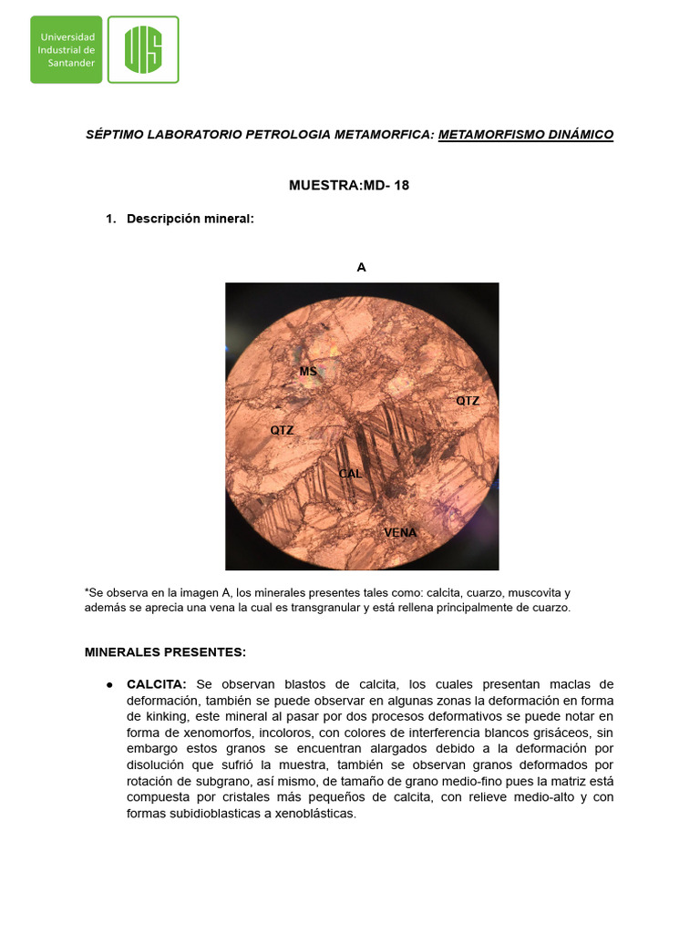 Septimo Parcial Petrologia Metamorfica | PDF | Minerales | Cuarzo