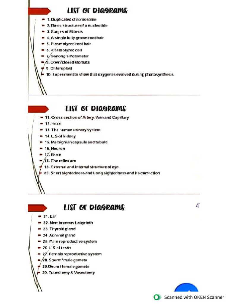 Bio Diagrams For 2025 Board | PDF