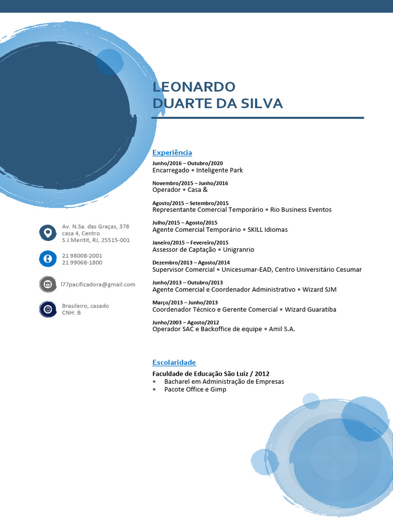 LEONARDO Curriculum 2024 | PDF