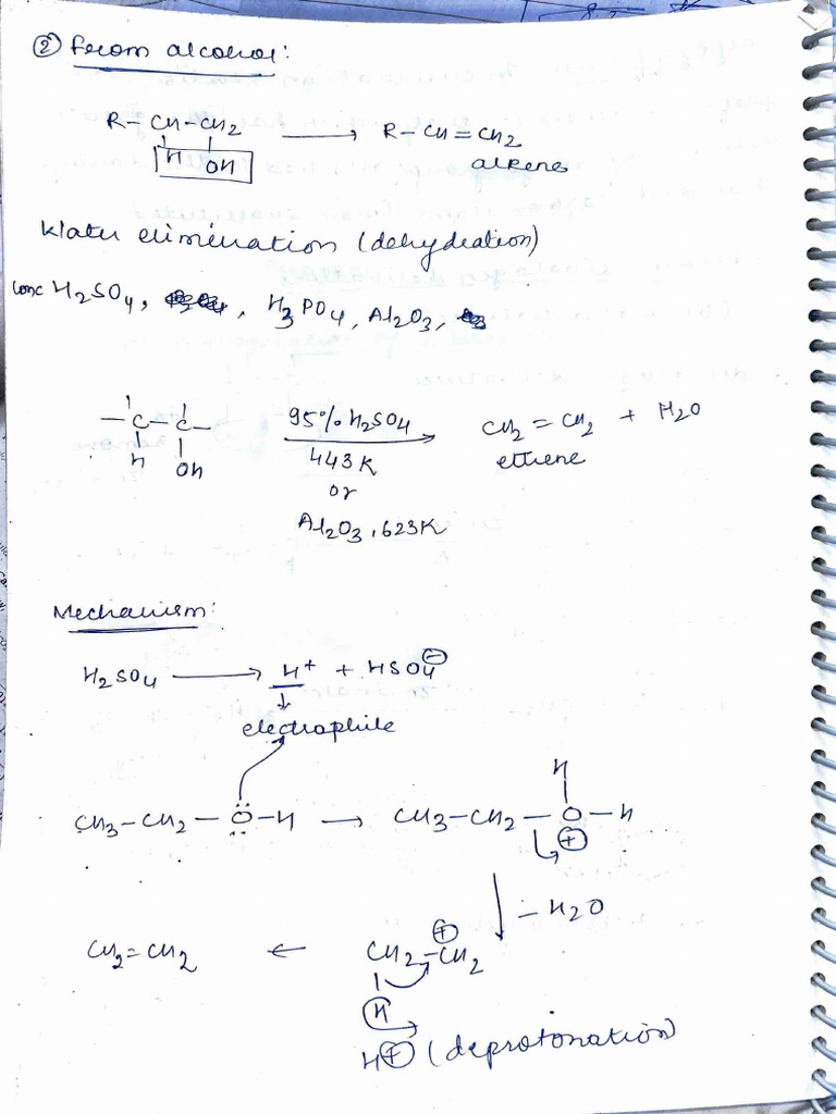 Hydro Carbon Class 11 | PDF