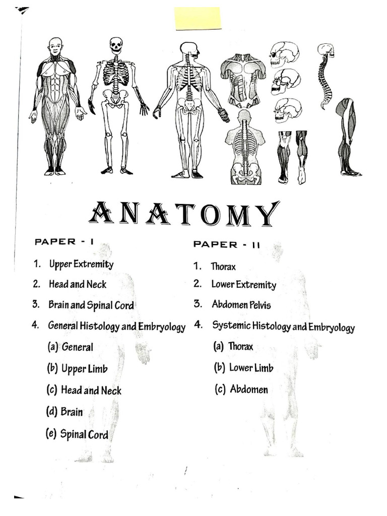 SIAS Anatomy Overview PDF | PDF