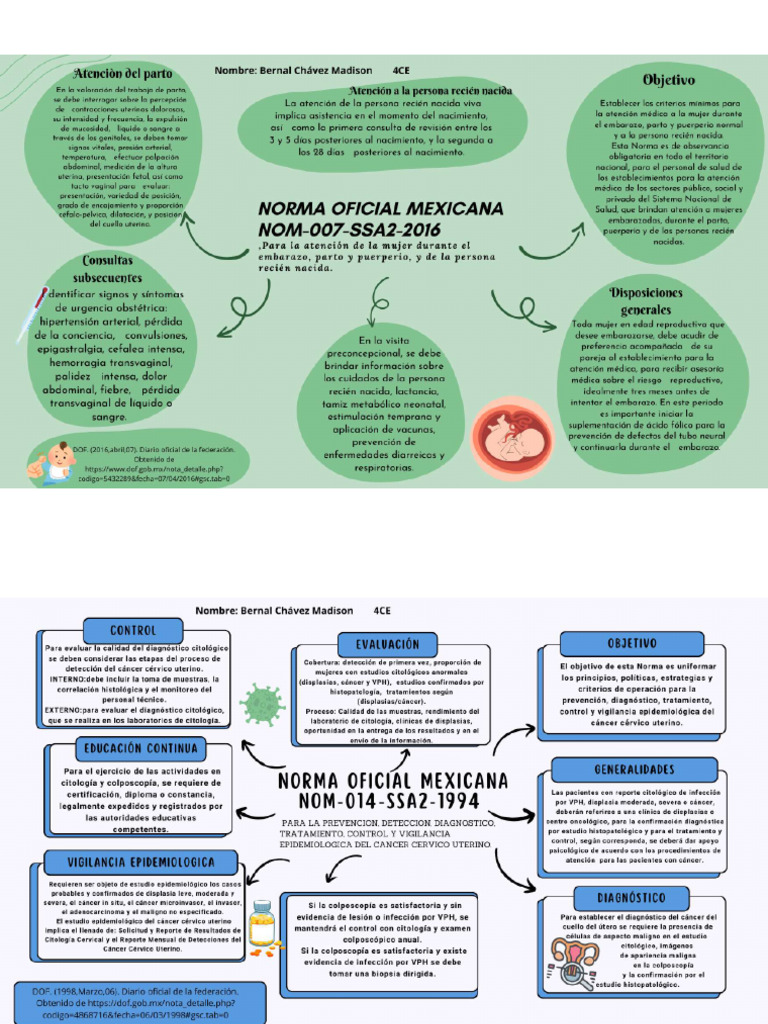 NORMA Oficial Mexicana NOM-007-SSA2-2016, para La Atención de La Mujer Durante El Embarazo ...