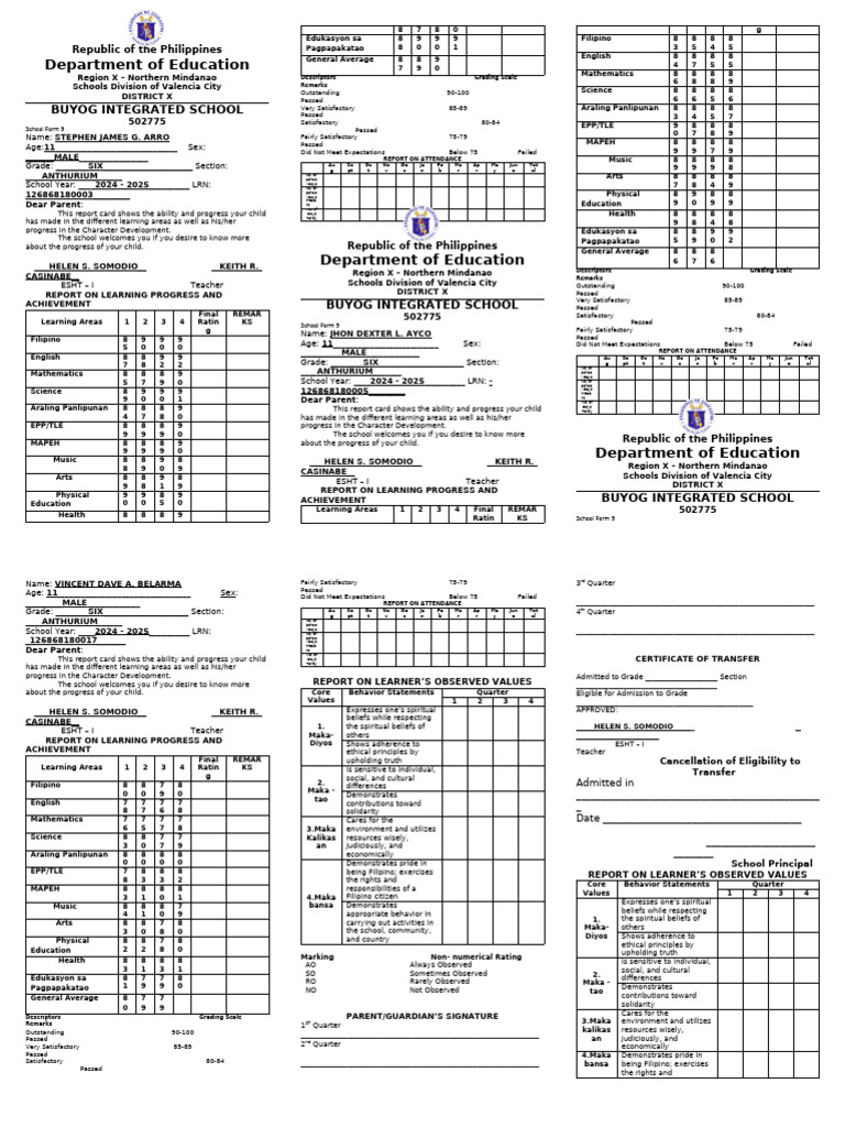 BUYOG IS SCHOOL FORM 9(EDITED) | PDF