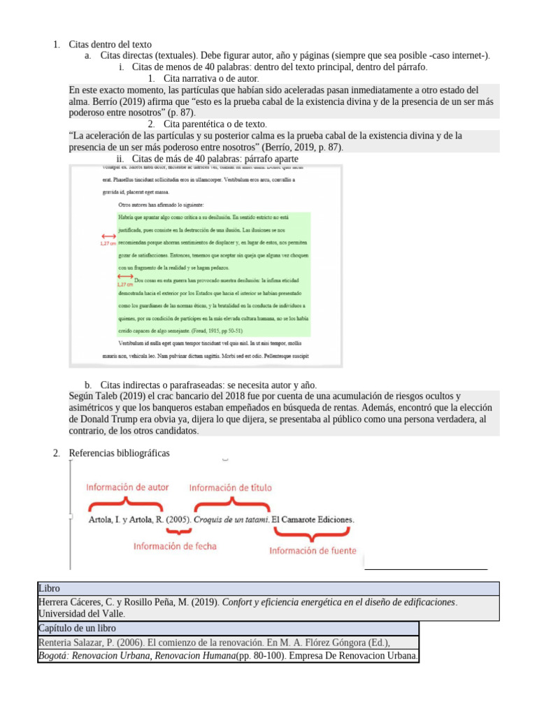 Normas APA 2025: Citas y Referencias | PDF