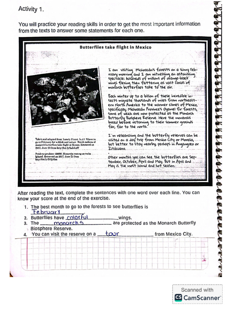 Activity 4 | PDF