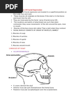 Lateral View of Facial Muscles | PDF | Soft Tissue | Human Anatomy