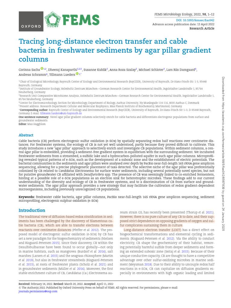 Agar Pillar Gradient Cable Bacteria | PDF | Polymerase Chain Reaction ...