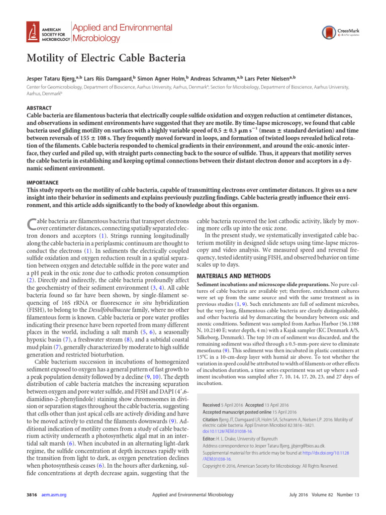 Bjerg Et Al 2016 Motility of Electric Cable Bacteria | PDF