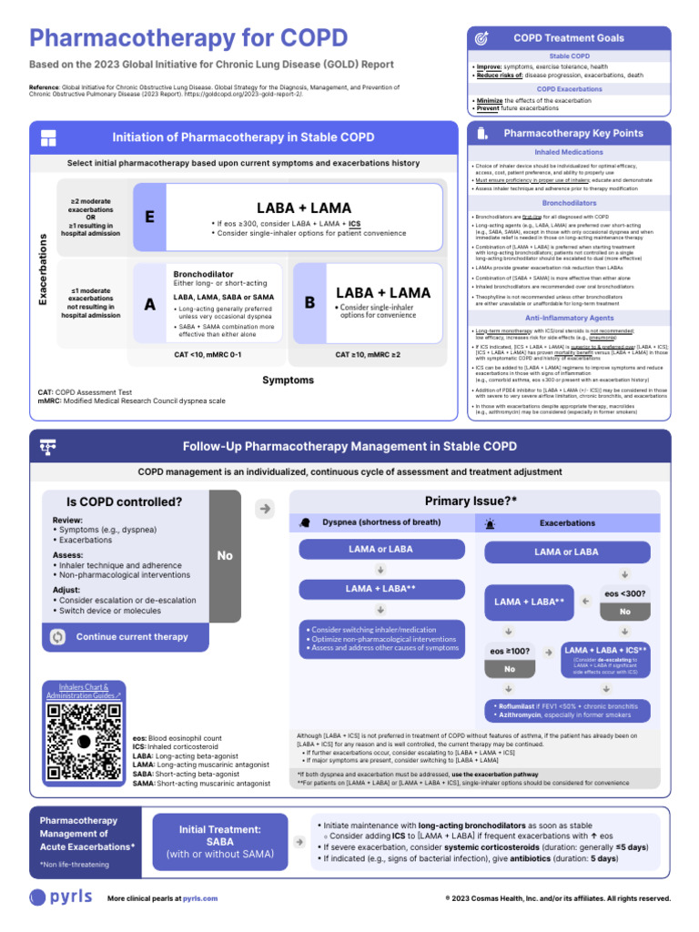 COPD Pharmacotherapy Guidelines 2023 | PDF | Chronic Obstructive ...
