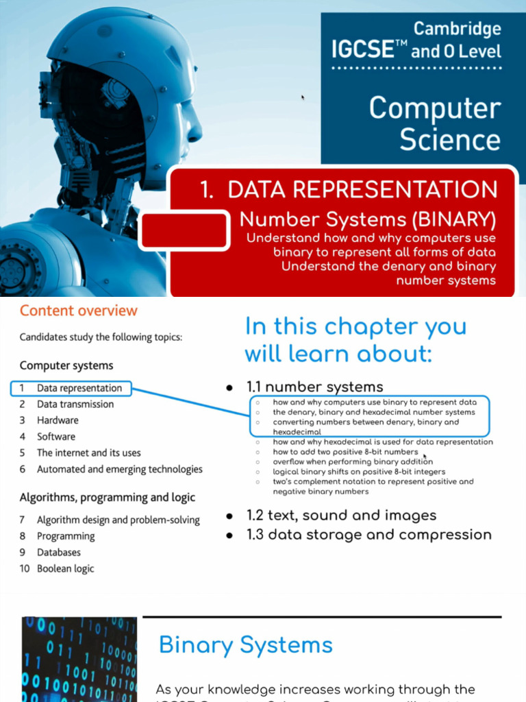 01 Data Representation | PDF