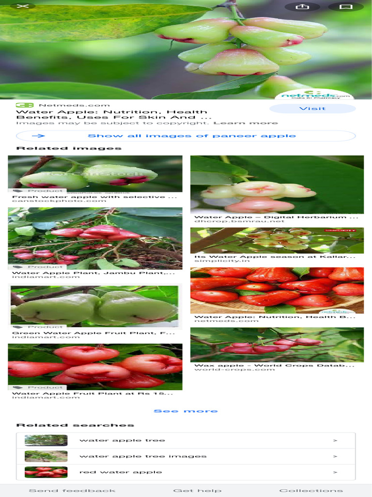 Paneer Apple - Google Search | PDF | Apple | Food And Drink Preparation