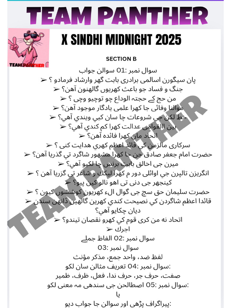 Class X Sindhi Midnight by Team Panther | PDF