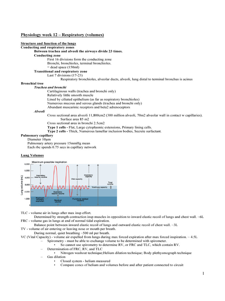 Microsoft Word - Physiology Week 12 - Respiratory - Volumes | PDF ...