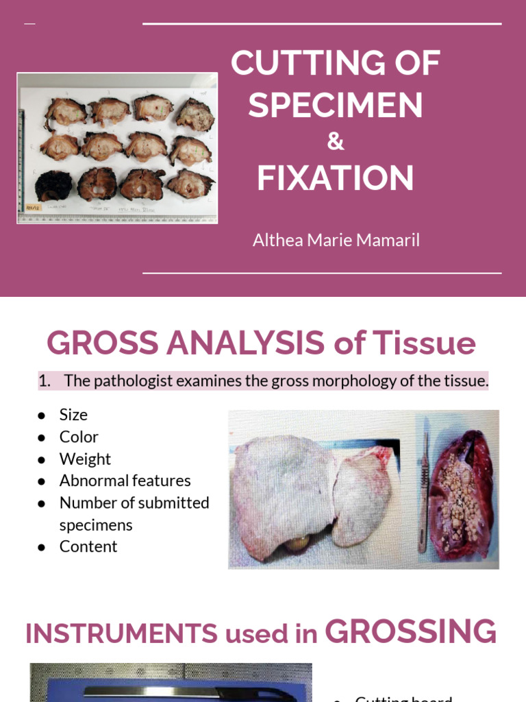Cutting of Specimens Fixation | PDF