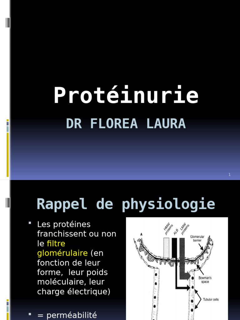 Comprendre la Protéinurie : Types et Analyse | PDF | Rein | Maladies et ...
