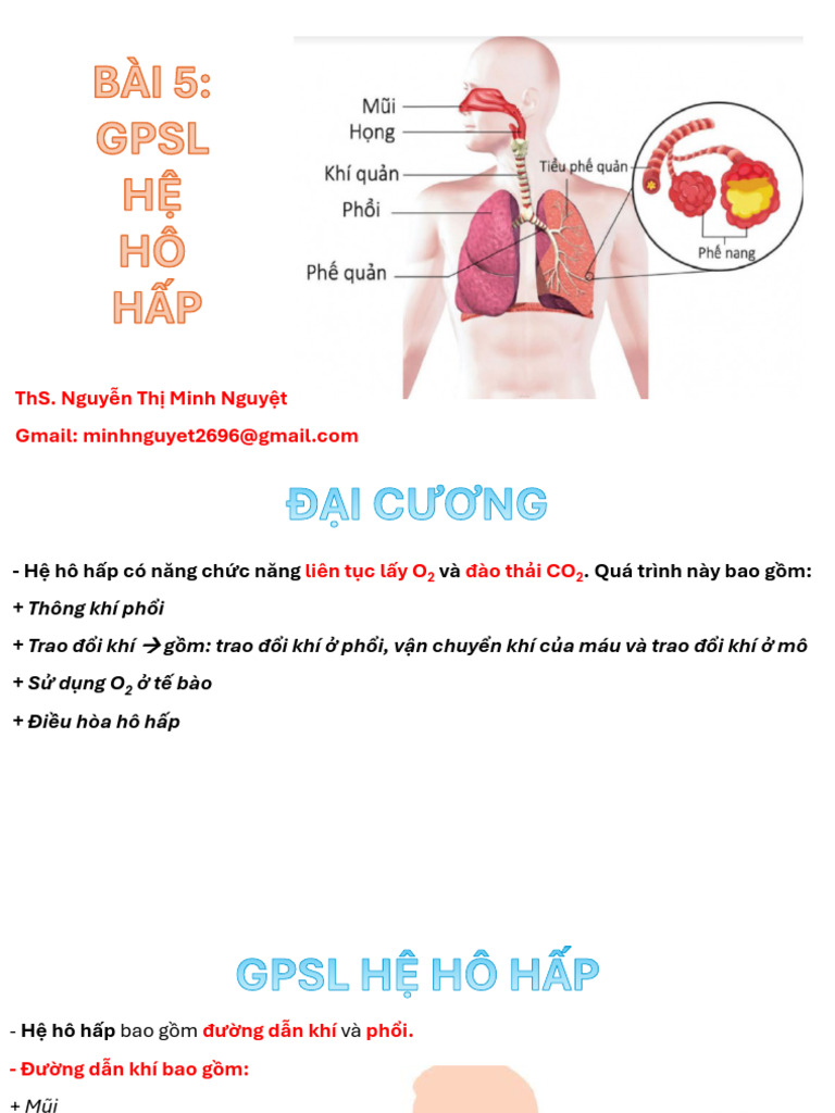 Bài 5 Gpsl Hệ Hô Hấp | PDF