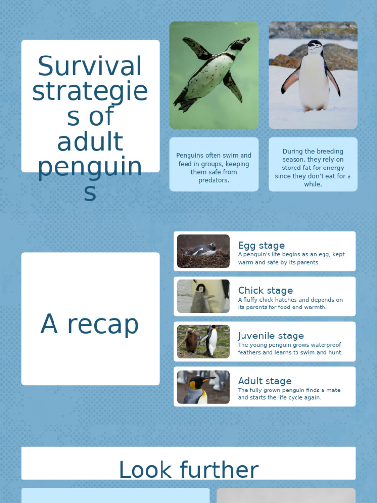 Kapde Dhone Ki Conjunicification | PDF